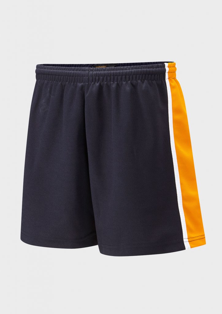SPIRIT Panelled Sports Short - Falcon Sportswear