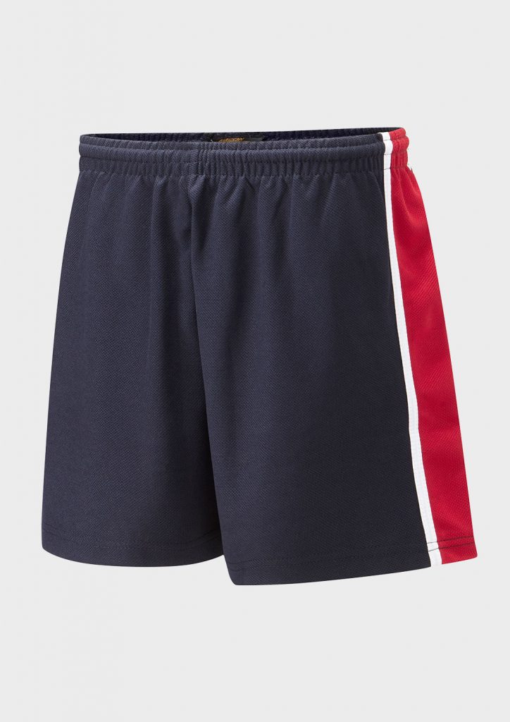 SPIRIT Panelled Sports Short - Falcon Sportswear